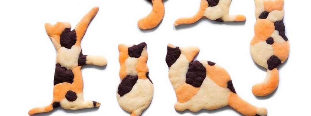 Путер мачиња - колачиња / calico cats butter cookies | Бимилк